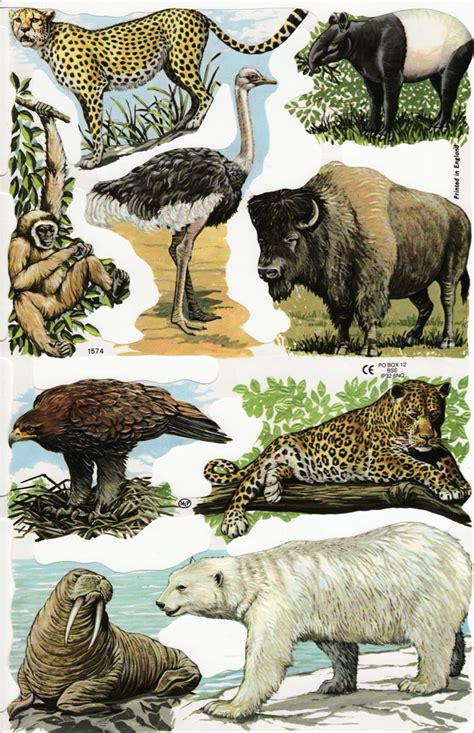 Free Animal Posters From Illustrated Larousse Dictionaries Artofit