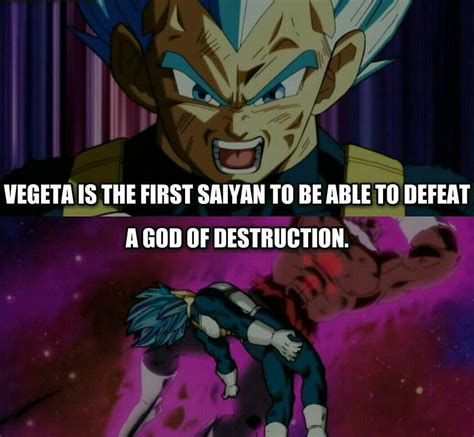 Saiyan Pride Anime Dragon Ball Goku Anime Dragon Ball Super Dragon