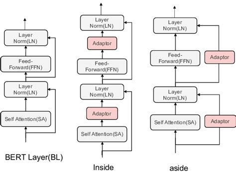 BERT Layer And Two Variants Of Adapted BERT Layer Download Scientific Diagram