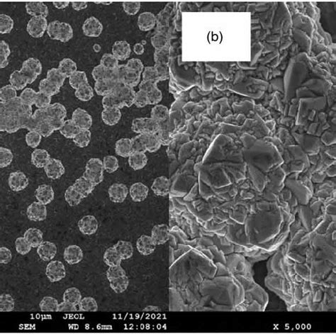 Sem Image Of Dil Pbo 2 Tibdd Electrode 500Â Magnification A And