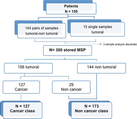 Flow Chart For Classification Of Samples And For Msp Class Allocation Download Scientific Diagram