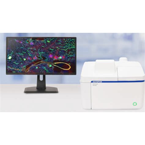 Microscopy And Imaging Eisenberg Bros Ltd