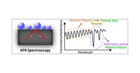 Single Infrared Spectrum Enables Simultaneous Identification Of Bio Chemical Nature And