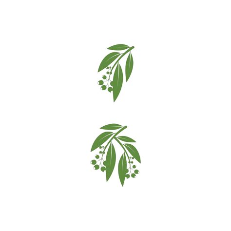 Conjunto De Aceite Esencial De Ilustración Vectorial De Plantilla De