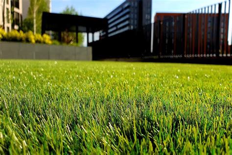 Lawn Maintenance Tips And Tricks For A Lush And Healthy Yard The