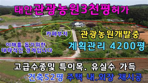 물건번호 321번 태안 계획관리 토지및 고급스럽게 리모델링내외장 재시공된 주택과 3천평 관광농원허가받아 관광농원개발중입니다