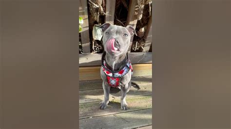 Ill Have Kisses From Her Anyday ️ ️ ️ Youtube