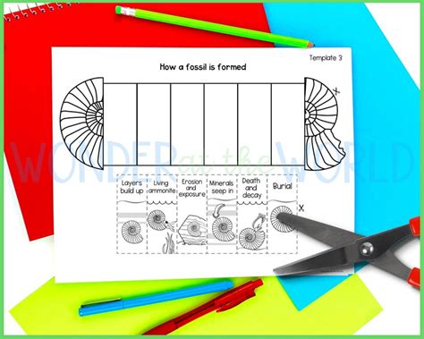 How A Fossil Is Formed Printable Craft Activity And Sequencing Cards