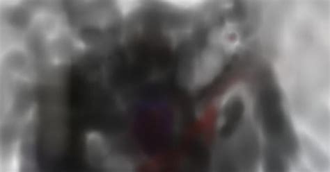 Random Instinct Imgur Random Instinct Imgur