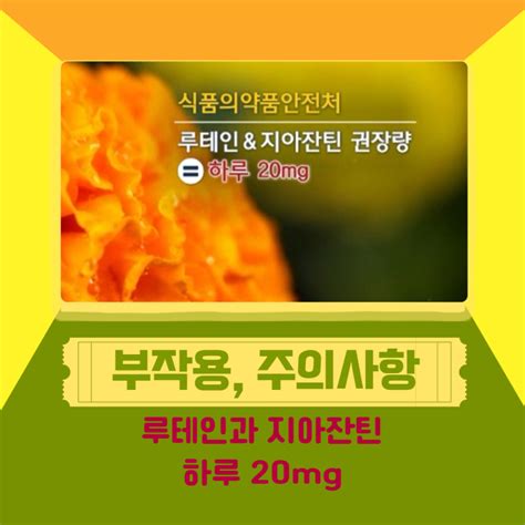 메리골드 꽃차 효능 루테인지아잔틴 풍부한 마리골드 부작용 네이버 블로그