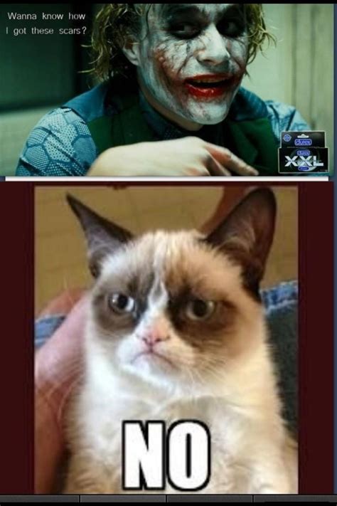 Pin By Jennifer Heeter On Grumpy Cat Cat Jokes Grumpy Cat Humor