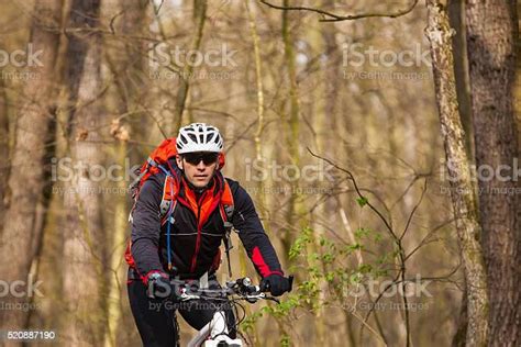 산악 자전거 Cyclist 탑승형 외동 트랙형 나무에 대한 스톡 사진 및 기타 이미지 나무 남자 두발자전거 Istock