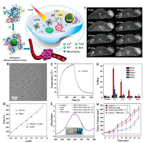 Recent Advances In Single Fe Based Nanoagents For Photothermalchemodynamic Cancer Therapy