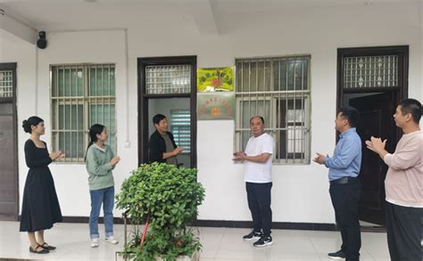 叶县辛店镇新业态工会联合会挂牌成立 平顶山工会网