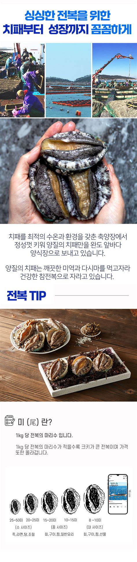 완도 산지직송 활전복 10미 1kg 선물세트 바다성찬