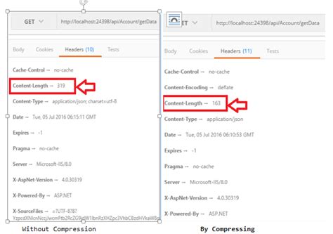 Compressing Web Api Response Using Dotnetzip