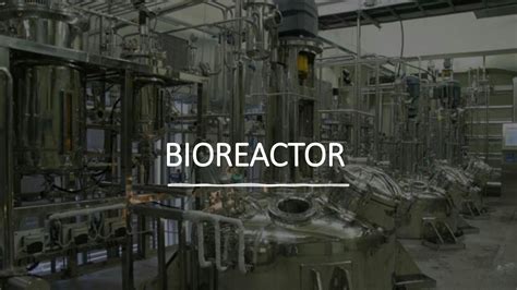 SOLUTION Bioreactor Studypool