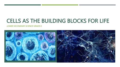 Cells As The Building Blocks For Lifepptx
