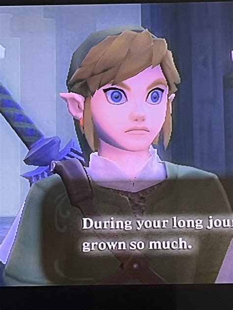What Is Link Looking At Wrong Answers Only R Skywardsword