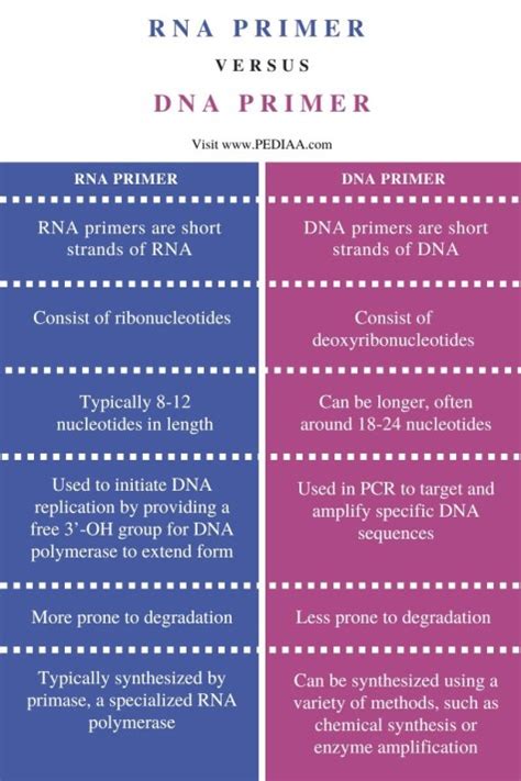 What Is The Difference Between Rna Primer And Dna Primer Pediaa Com