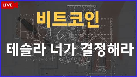 비트코인실시간 전망 분석 및 실전매매 10월19일 테슬라 너가 결정 해라 Youtube