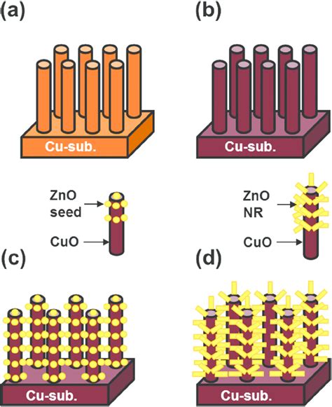 Schematic Illustration Showing The CuO ZnO Nanorod Nanobranch