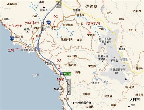 東彼杵町の街路樹