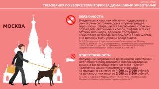 Приспособление для уборки за собакой на улице: выбор совка и пакетов