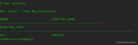oracle数据库dump快速导出导入 oracle dump导入导出 csdn博客