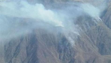 Argentina Incendio Forestal Arrasa 1500 Hectáreas De Bosque Mundo