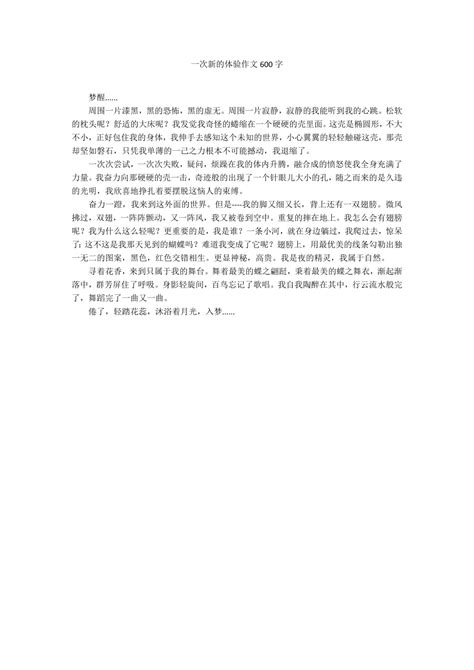 一次新的体验作文600字