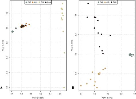 Principal Components Analysis Pca Scores Plot With Variance Explained