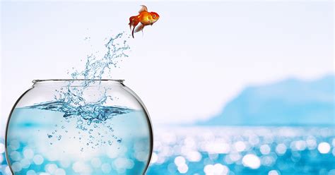 jQueryで要素を追加するメソッドまとめ SPIQA NOTE jQueryで要素を追加するメソッドまとめ SPIQA NOTE