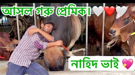 Real Cow Lover Sadeeq Agro Bangladesh Youtube