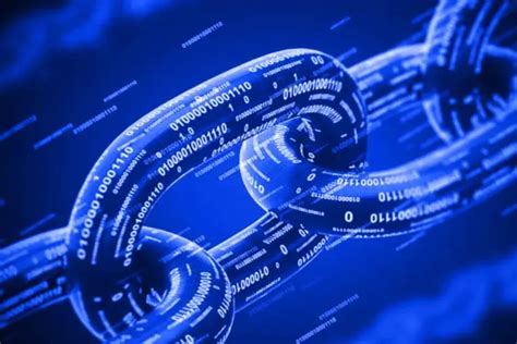 White Label App Development All You Need To Know QIT Software
