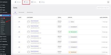 Cartpulse Documentation Woocommerce