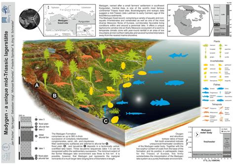 Pdf Madygen Overview Card