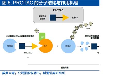 PROTAC的分子结构与作用机理 行业数据 三个皮匠报告