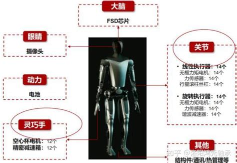 人形机器人动力核心：滚珠丝杠与轴承 知乎