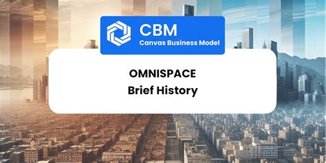 A Brief History Of Omnispace Canvas Swot Pestel And Bcg Matrix Editable Templates For Startups