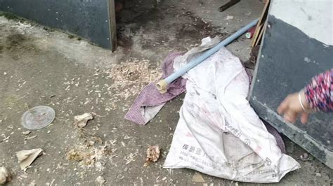 黑熊凌晨闯入村民家中击倒女主人，58岁大爷从熊爪下救出老伴，并趁机操起一把斧头将黑熊击杀凤凰网视频凤凰网