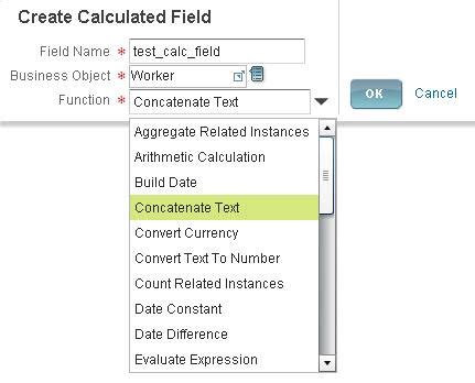 A Blog About Learning Workday HCM How To Create A Calculated Field In Workday