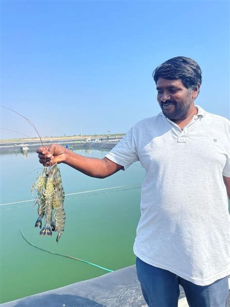 Best Aquaculture Practices Bap On Linkedin Being The Largest And Most Popular Aquaculture