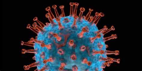 Nipah Virus Outbreak In India Should The Us And Canada Be Concerned