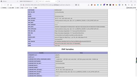ctf show web1 20 csdn博客