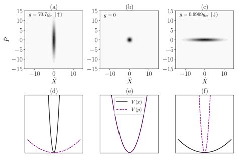 In The Quantum Rabi Model The Same Amount Of Squeezing Visible In The