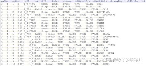 R语言里做基因组共线性可视化R包 GENESPACE 知乎