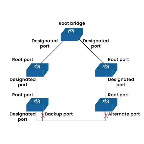 Stp Vs Rstp Whats The Difference Pynet Labs