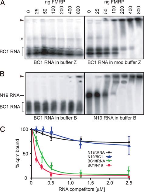 Binding Of Fmrp To Bc1 Rna Is Nonspecific A And B Emsa Was Performed