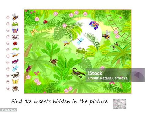 아이들을 위한 논리 퍼즐 게임 그림에 숨겨진 12 마리의 곤충을 찾으십시오 열대 여름 숲의 그림입니다 교육 페이지 온라인 플레이 Iq 테스트 세심함을위한 작업 벡터 만화